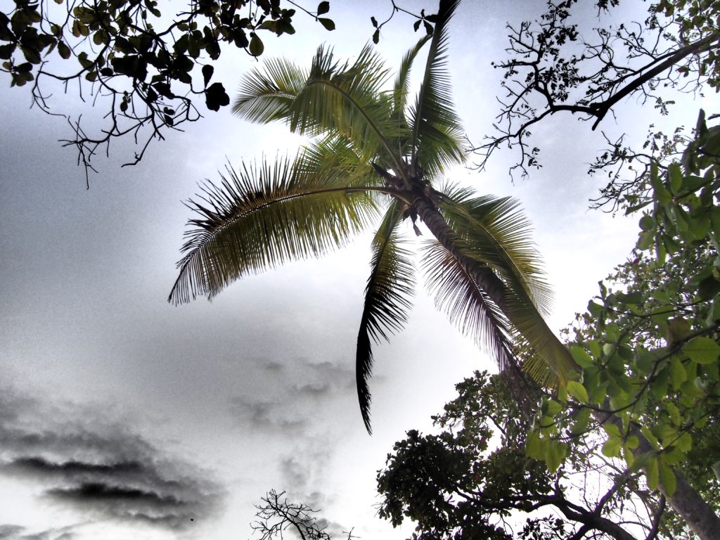 How I Shift My Perspective - this art called life